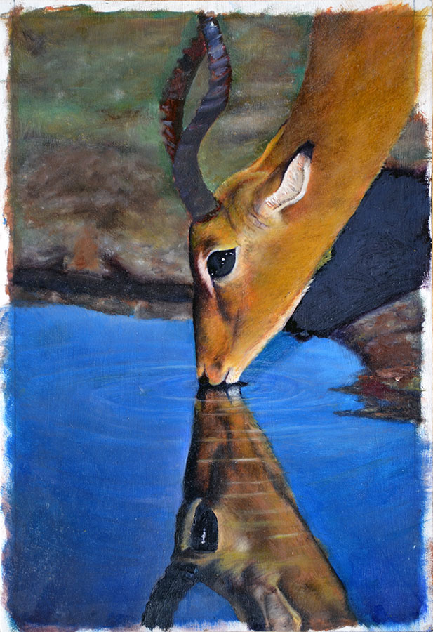 Christopher Paolini's Art Portfolio - Sketches to Completed Pieces