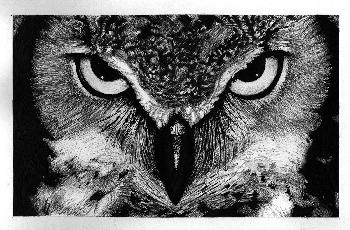 Christopher Paolini's Art Portfolio - Sketches to Completed Pieces