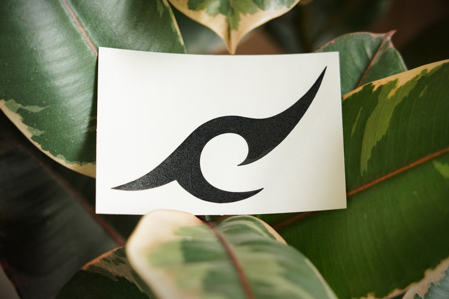 Inheritance Cycle Merchandise - Christopher Paolini - Paolini.net