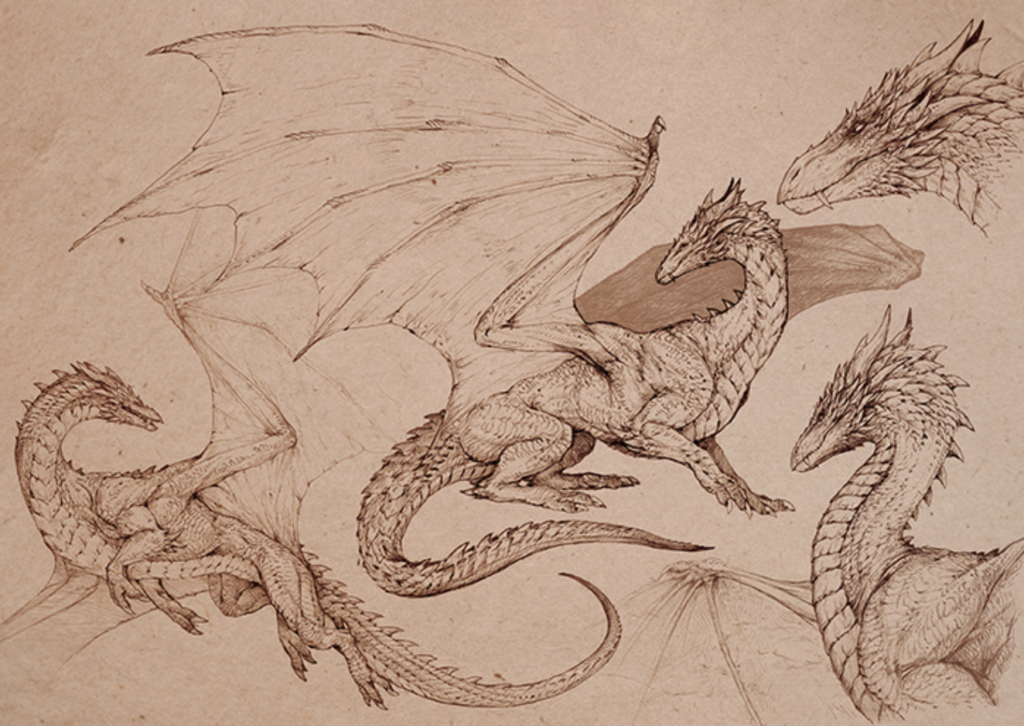 Wraithmarked: The Book of Remembrance - Paolini